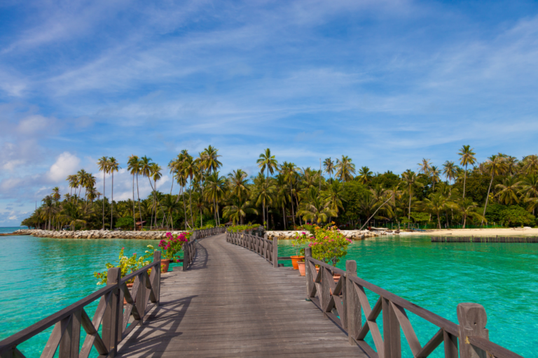 Guide complet : tout savoir sur l'ile de Borneo